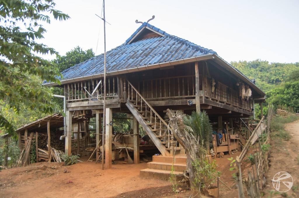 Pa Daeng - Northern Thai Coffee Farming | OMESH PERSAUD