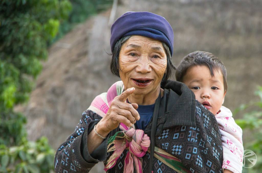 Pa Daeng - Northern Thai Coffee Farming | OMESH PERSAUD